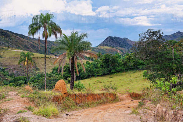 Red soil road, Serra da Canastra landscape, Minas Gerais state, Brazil, South America - Stock ...