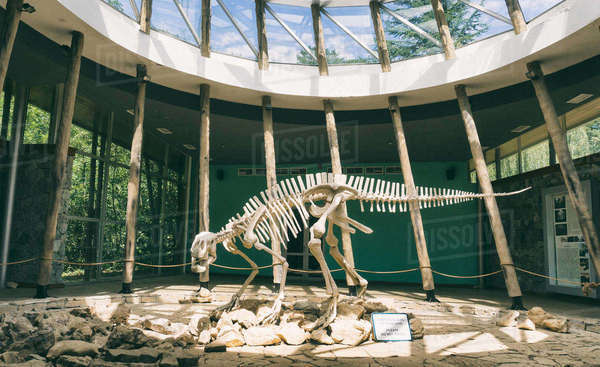 Dinosaur Mockup - Royalty-free Stock Photo | Dissolve