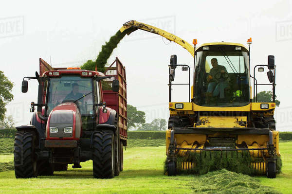 Agriculture - A self propelled forager and tractor with silage wagon in the field collecting cut ...