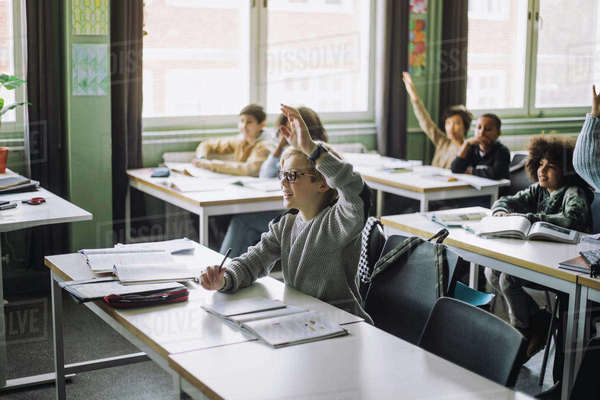 Boy with hand raised sitting at desk while attending lecture in ...