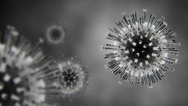Animation of the avian flu virus, H5N1. Artist impression. Perfect loop ...