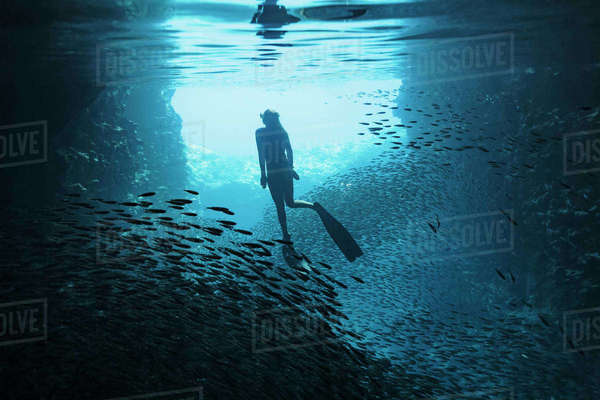 Woman snorkeling underwater among schools of fish, Vava'u, Tonga ...