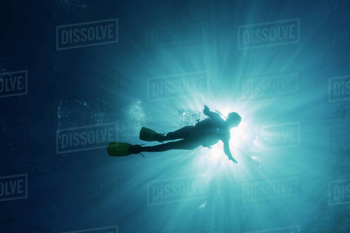 Sun shining behind woman scuba diving underwater, Maldives, Indian ...