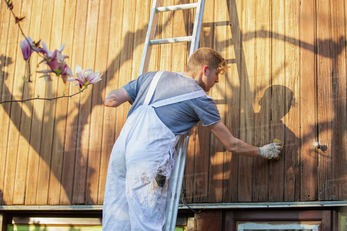 Male worker on ladder staining wood siding on home exterior - Royalty ...