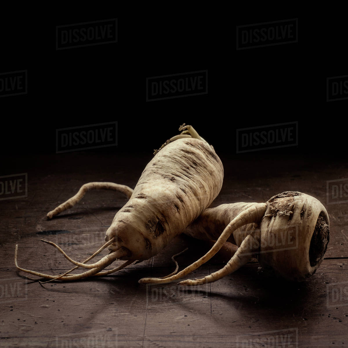 Studio shot of parsnips - Stock Photo - Dissolve