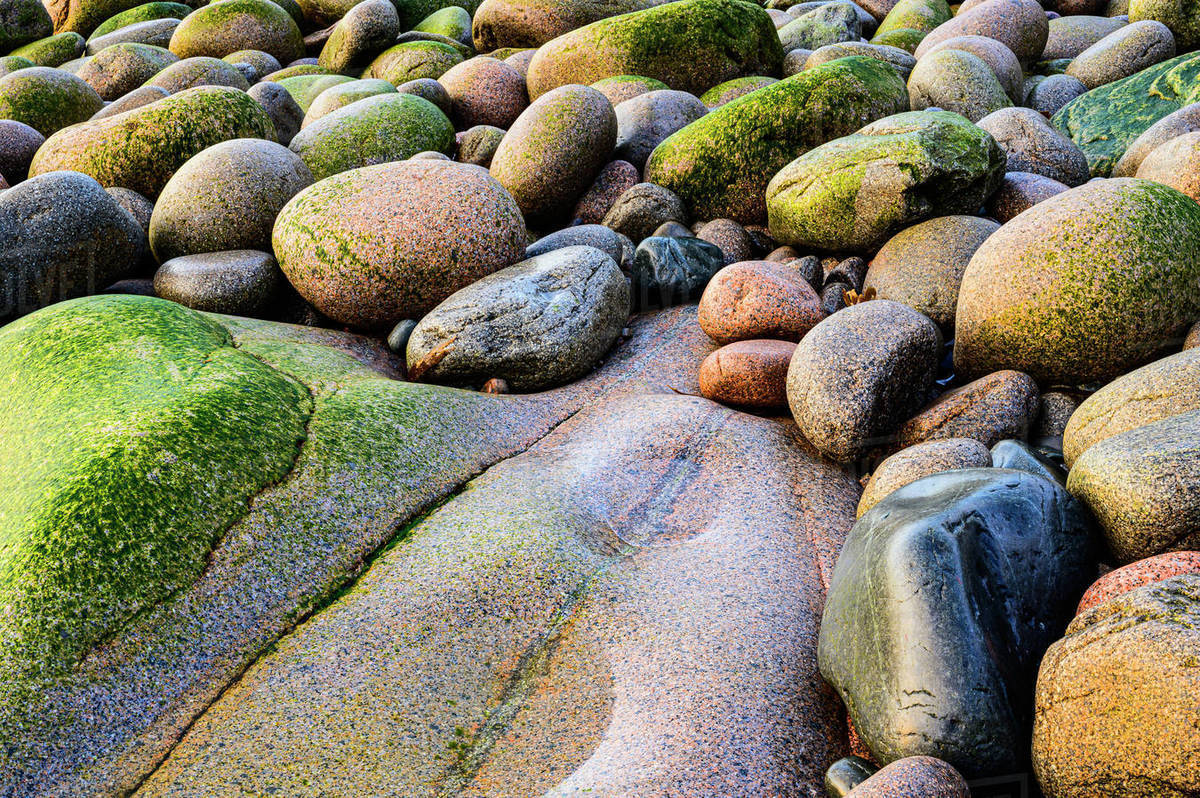 Rocks on beach in Acadia National Park, USA - Royalty-free Stock Photo ...