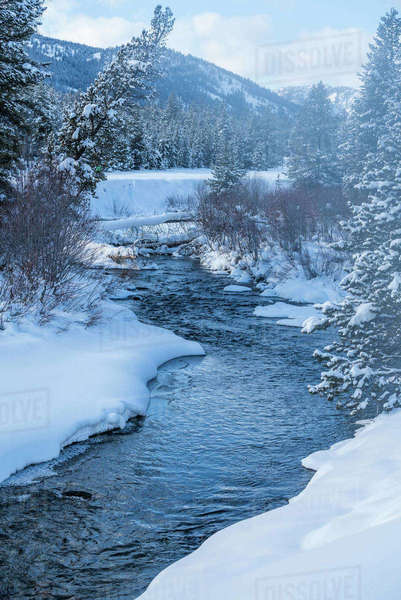 Pine trees and snow by river in Sun Valley, Idaho - Royalty-free Stock ...