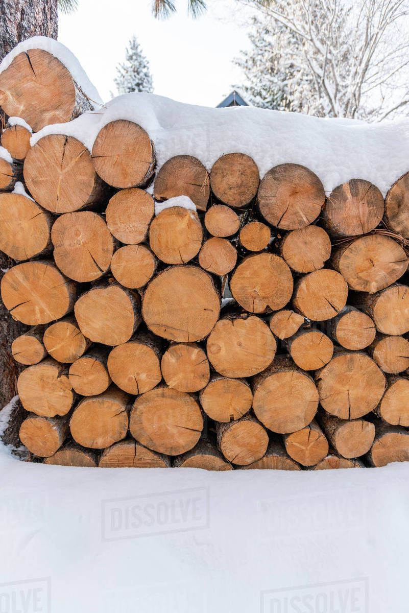 Stacked logs in snow - Royalty-free Stock Photo | Dissolve