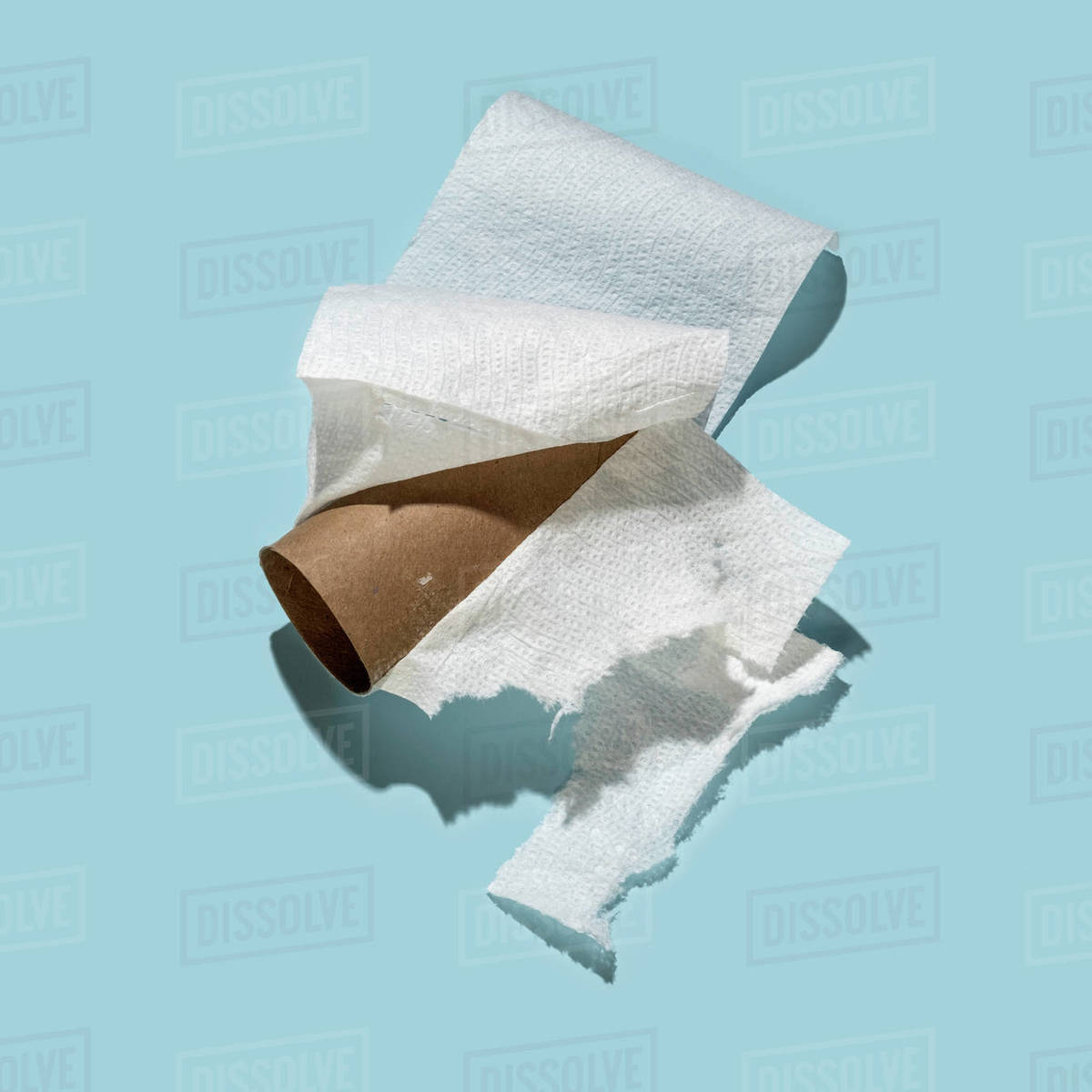 Messy toilet paper roll - Stock Photo - Dissolve