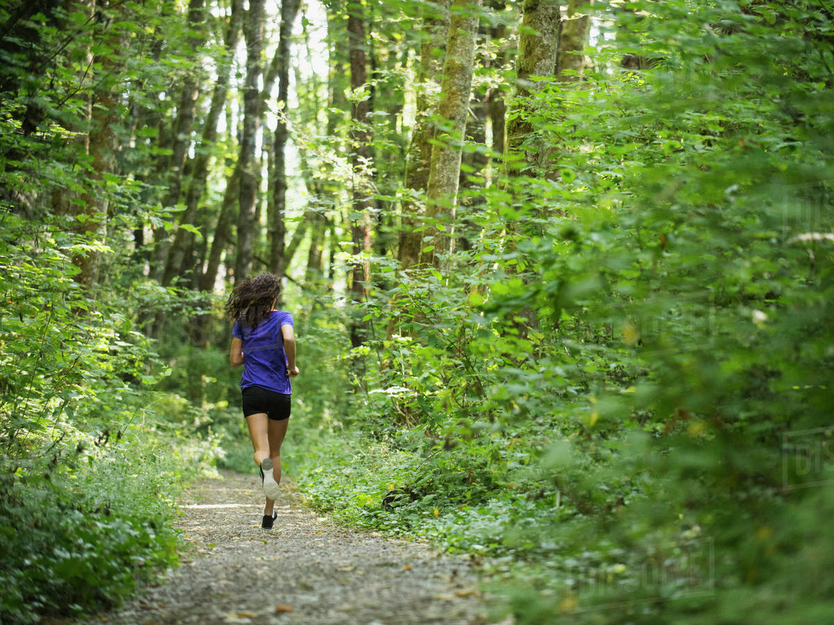 Rear view of young women jogging in forest - Royalty-free Stock Photo ...