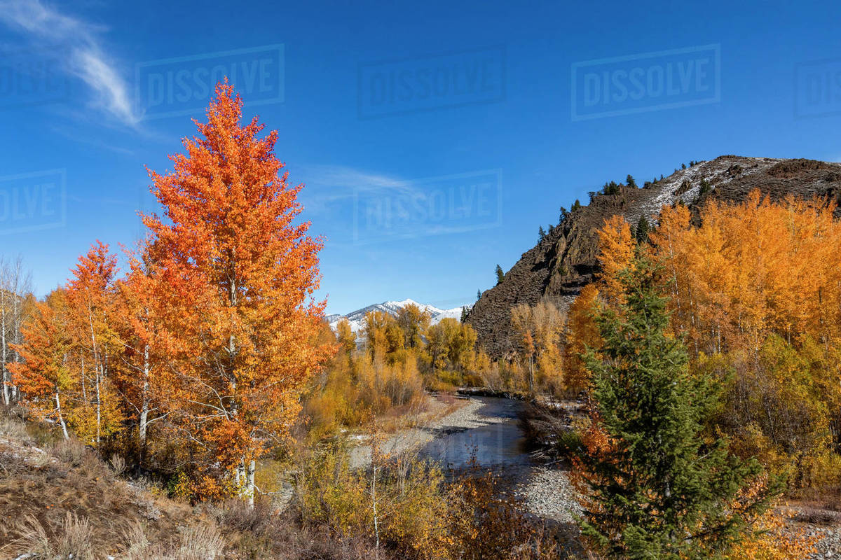 USA, Idaho, Ketchum, Fall foliage in mountains near Sun Valley ...