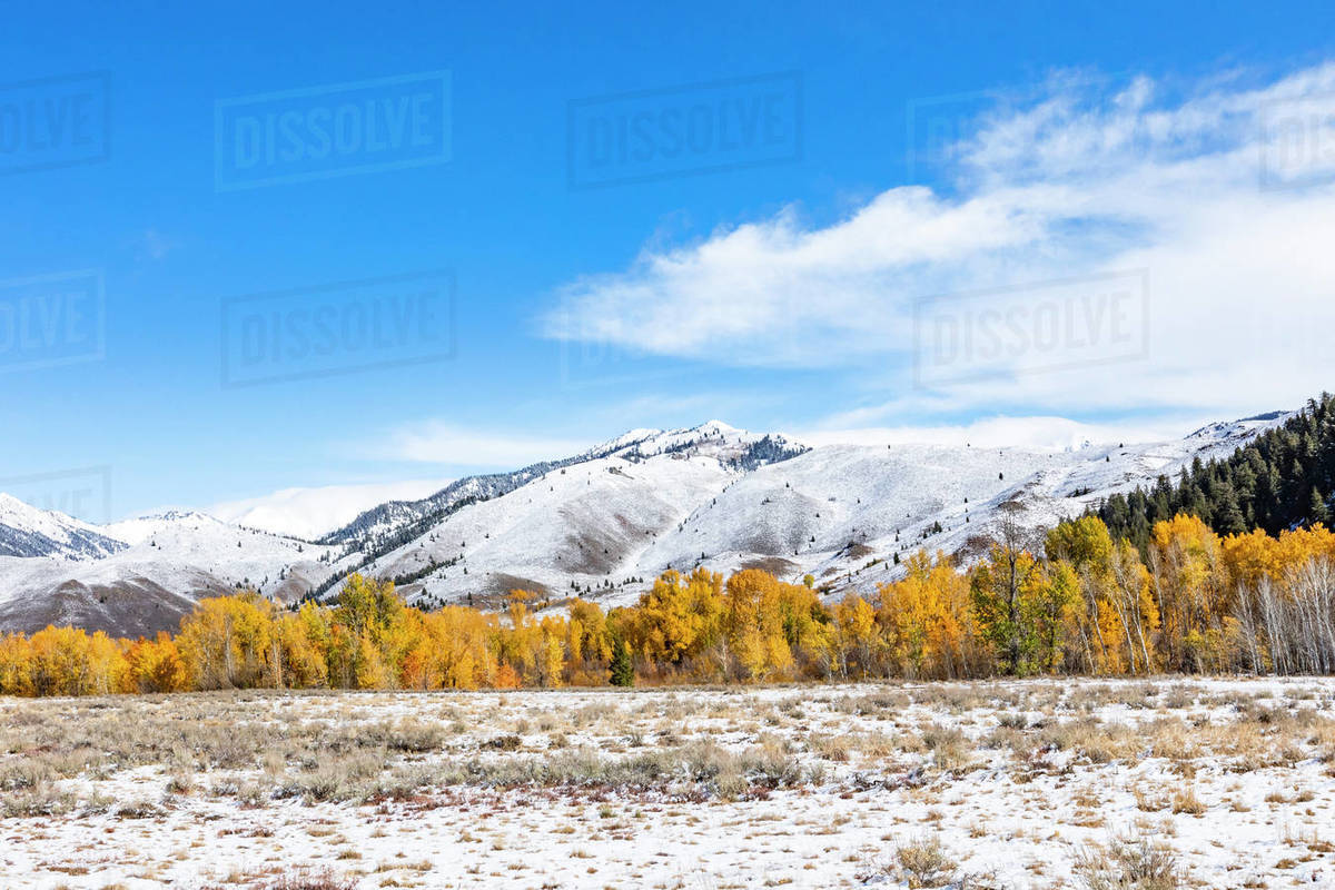 USA, Idaho, Ketchum, Fall foliage in mountains near Sun Valley ...