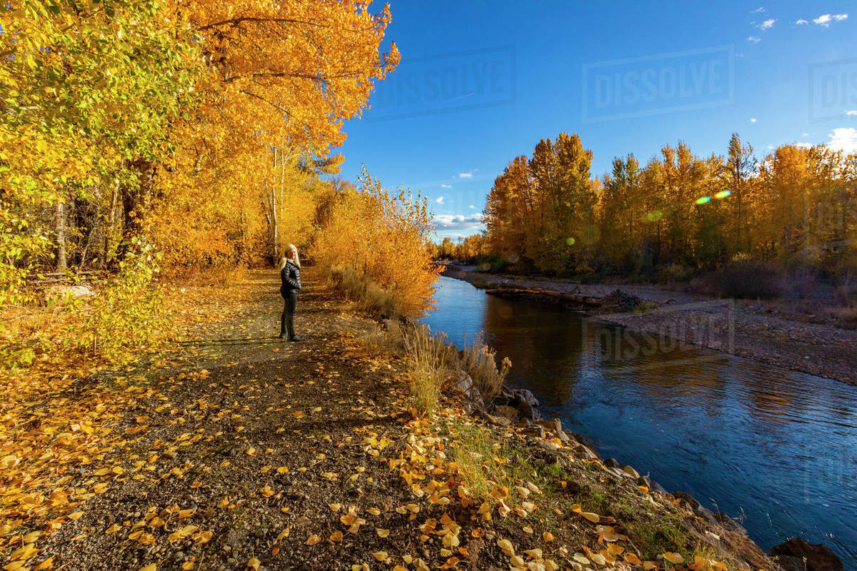 USA, Idaho, Bellevue, Senior woman walking along Big Wood river in ...