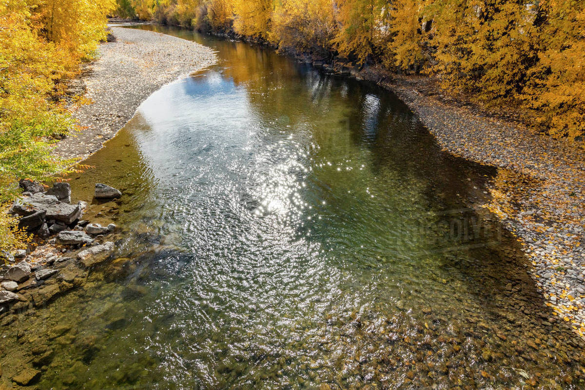 USA, Idaho, Bellevue, Reflection of fall foliage in Big Wood River ...