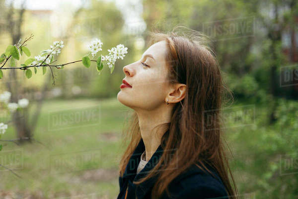 Beautiful woman smelling flower in orchard - Royalty-free Stock Photo ...