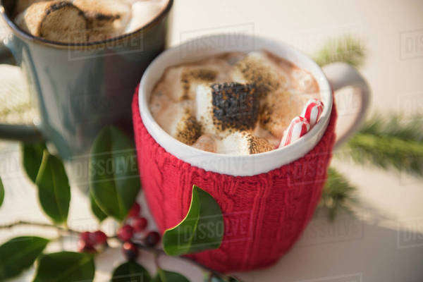 Studio shot of hot cocoa - Royalty-free Stock Photo | Dissolve