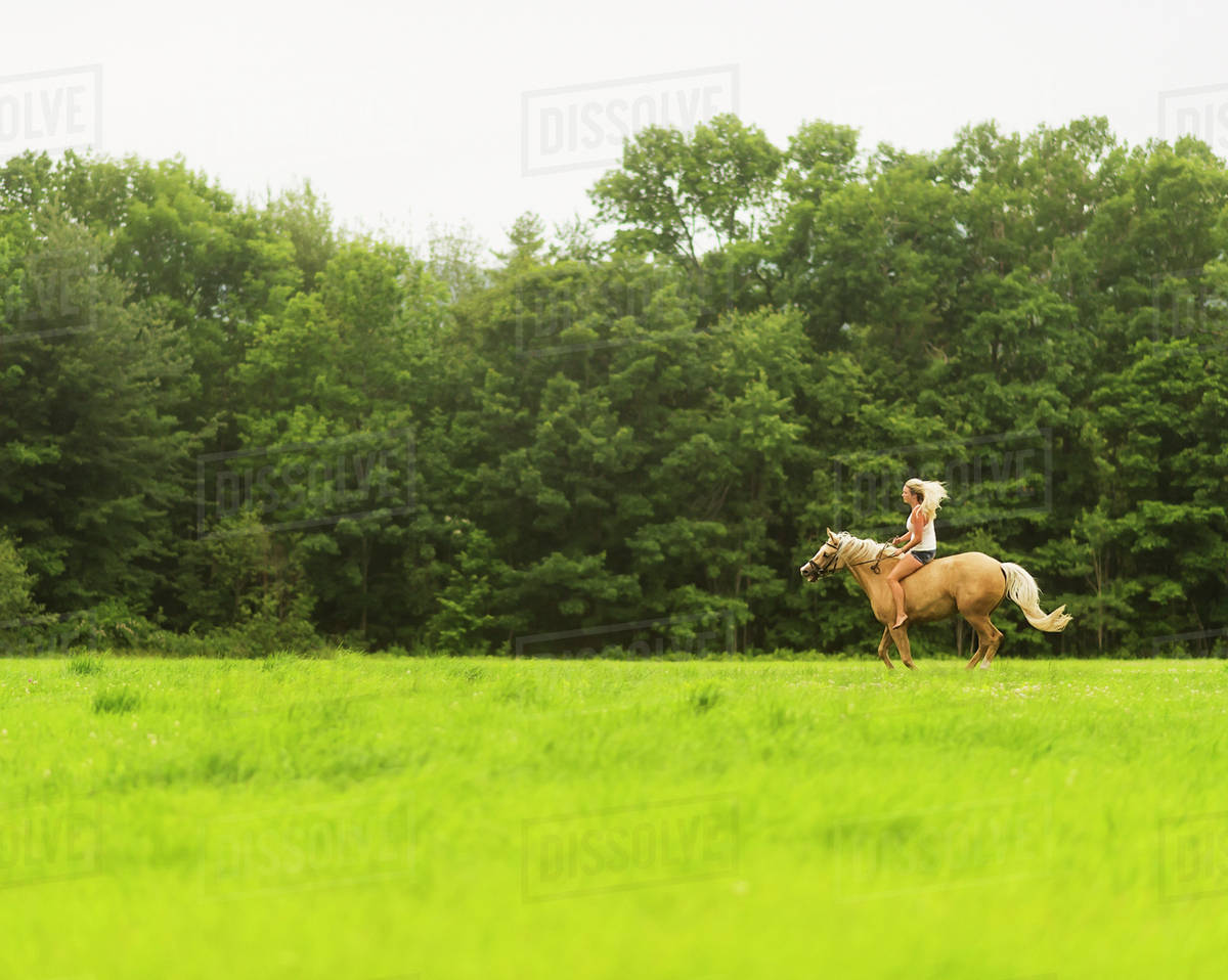 Woman horseback riding in countryside - Royalty-free Stock Photo | Dissolve