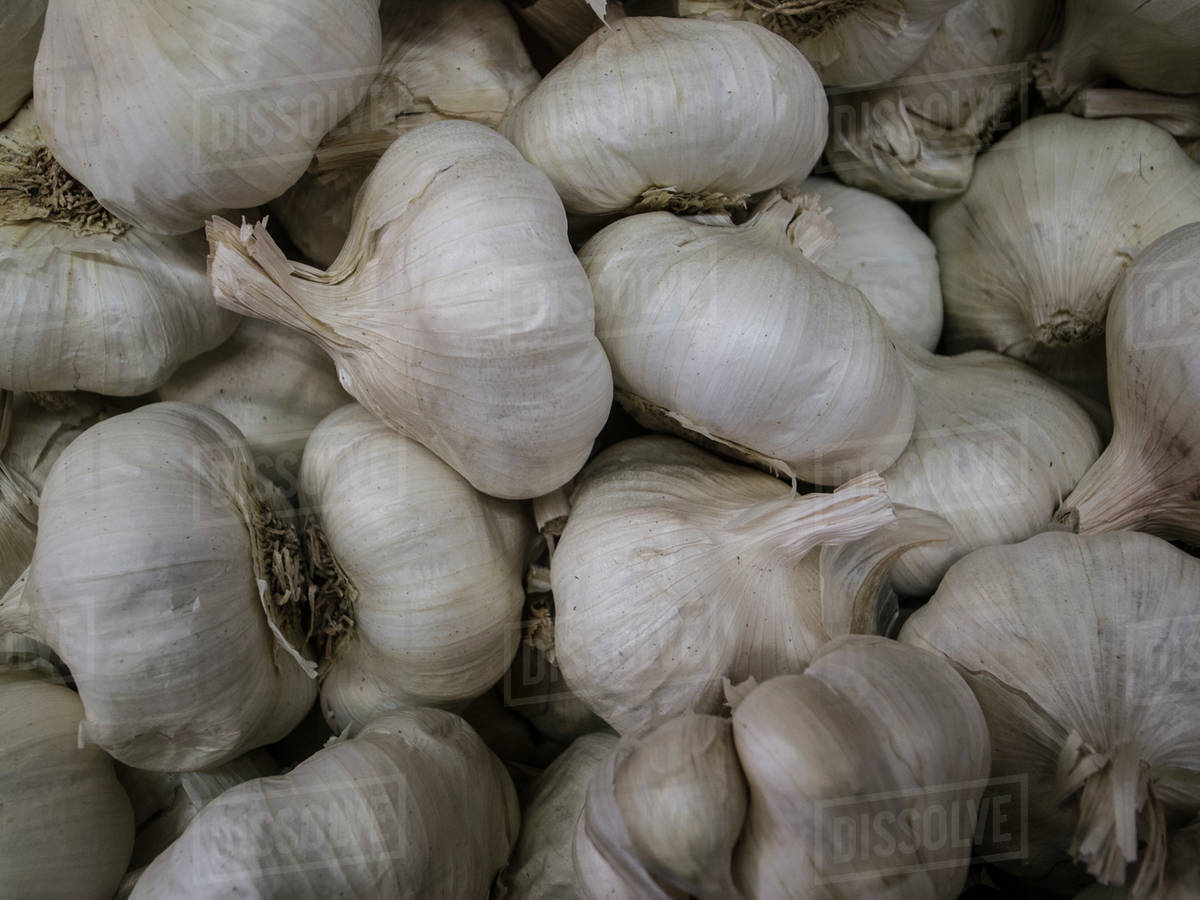 Full frame of white garlic - Royalty-free Stock Photo | Dissolve