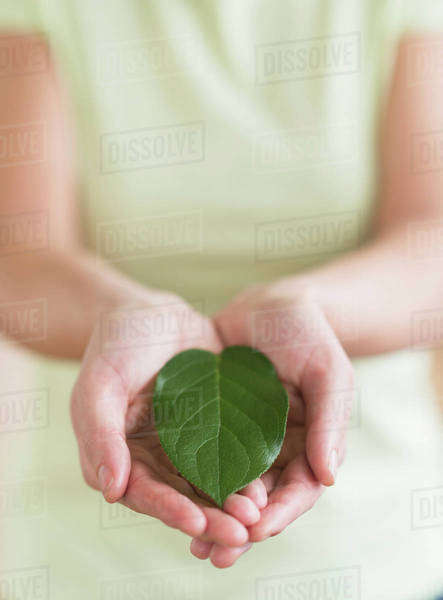 Hands holding green leaf - Royalty-free Stock Photo | Dissolve
