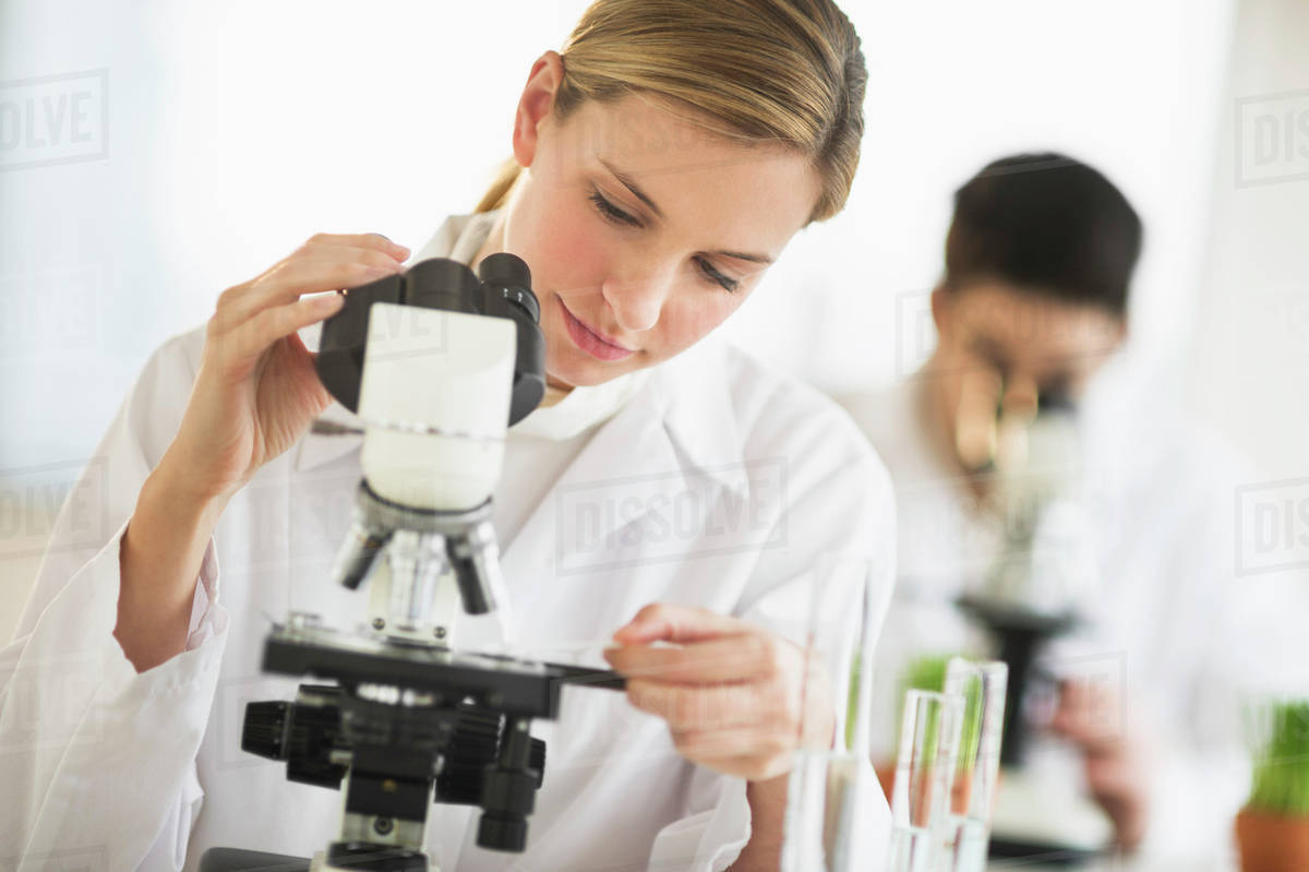 Scientists doing research on microscopes - Royalty-free Stock Photo ...