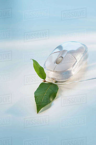 Studio shot of computer mouse with green leaf - Royalty-free Stock ...