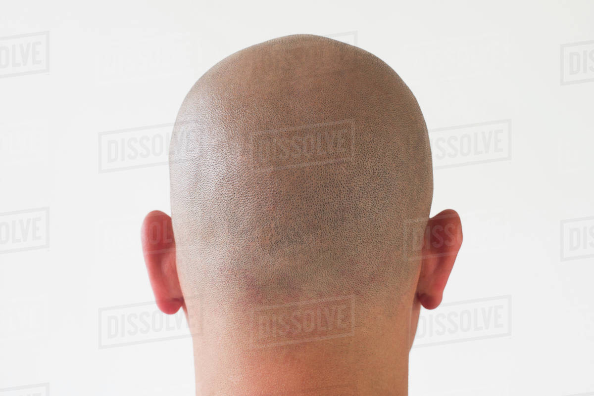 Back view of man with shaved head - Royalty-free Stock Photo | Dissolve