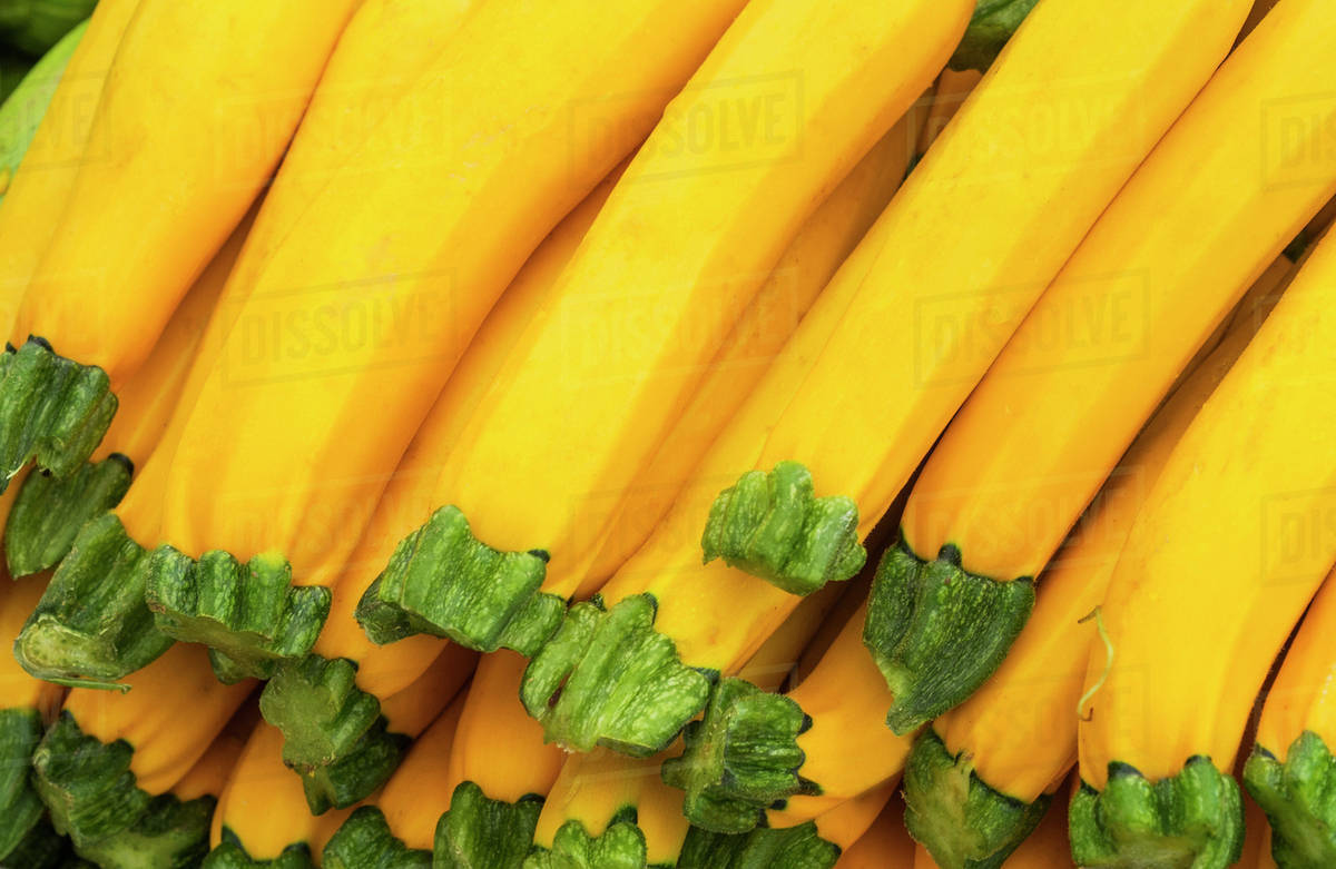 Yellow squash - Royalty-free Stock Photo | Dissolve