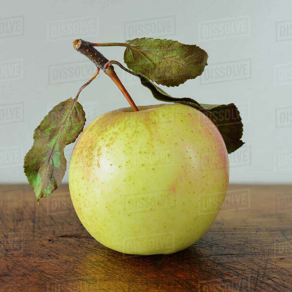 Studio shot of apple - Royalty-free Stock Photo | Dissolve