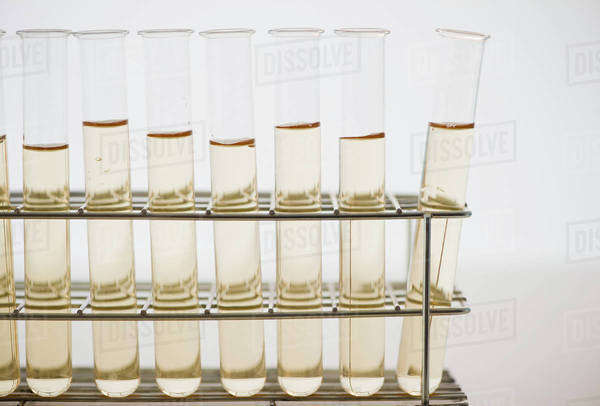 Liquid in test tubes - Stock Photo - Dissolve