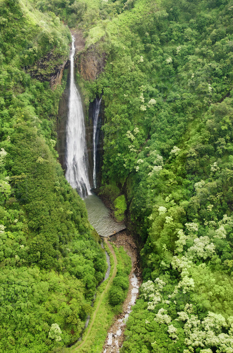 Jurassic Falls, Manawaiopuna Falls, Waterfall in forest - Stock Photo ...