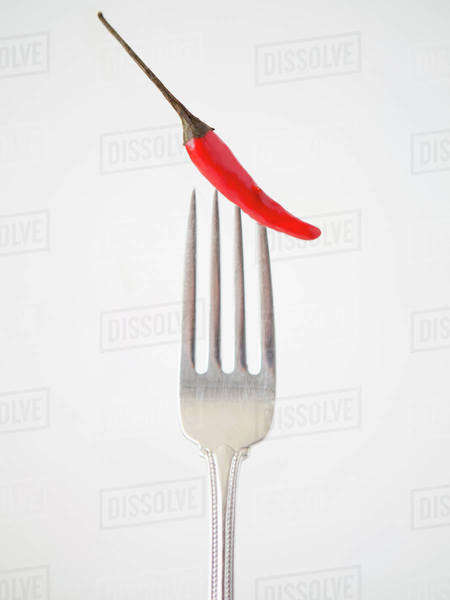 Chilli pepper on fork, studio shot - Royalty-free Stock Photo | Dissolve