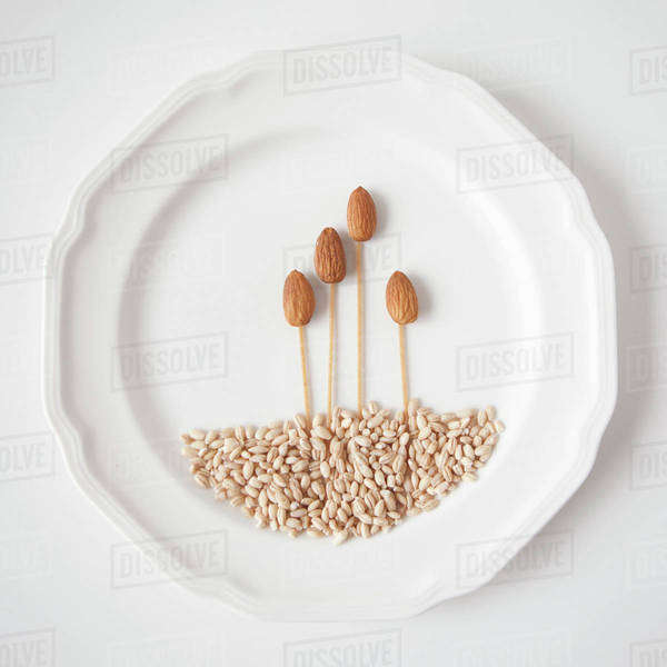Composition of seeds, studio shot - Stock Photo - Dissolve