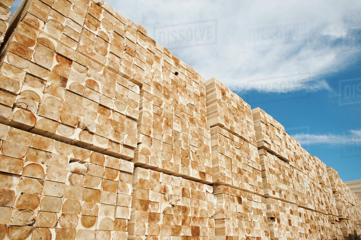 Orderly stack of timber - Royalty-free Stock Photo | Dissolve