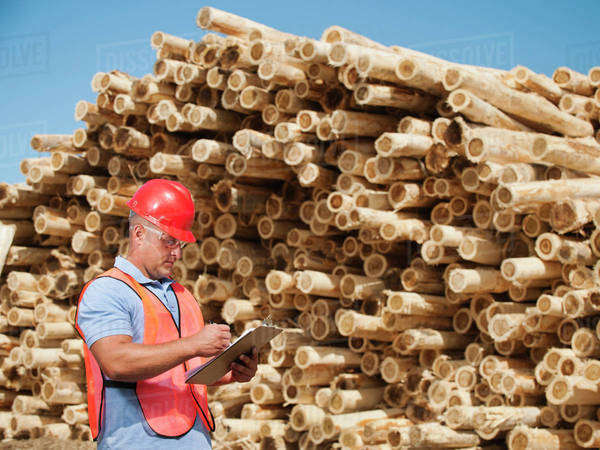 Engineer in front of stack of timber - Royalty-free Stock Photo | Dissolve