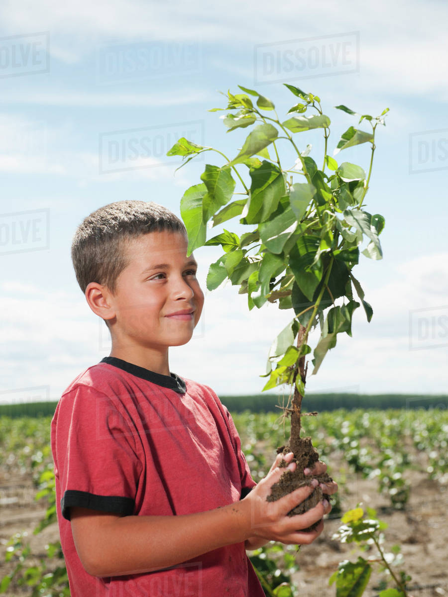 Boy (8-9) planting trees in tree farm - Royalty-free Stock Photo | Dissolve