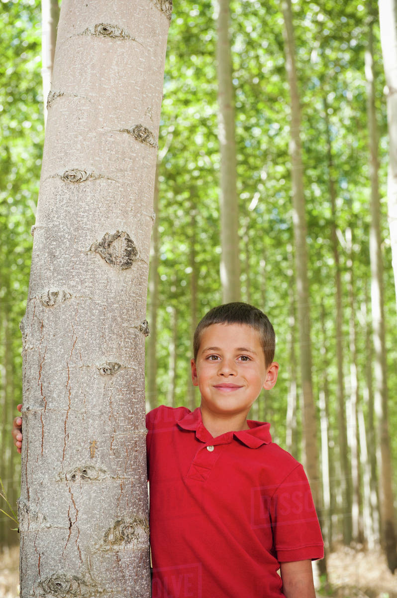 USA, Oregon, Boardman, Boy (8-9) standing between poplar trees in tree ...