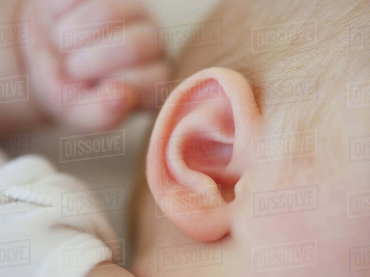 Ear of an infant - Royalty-free Stock Photo | Dissolve