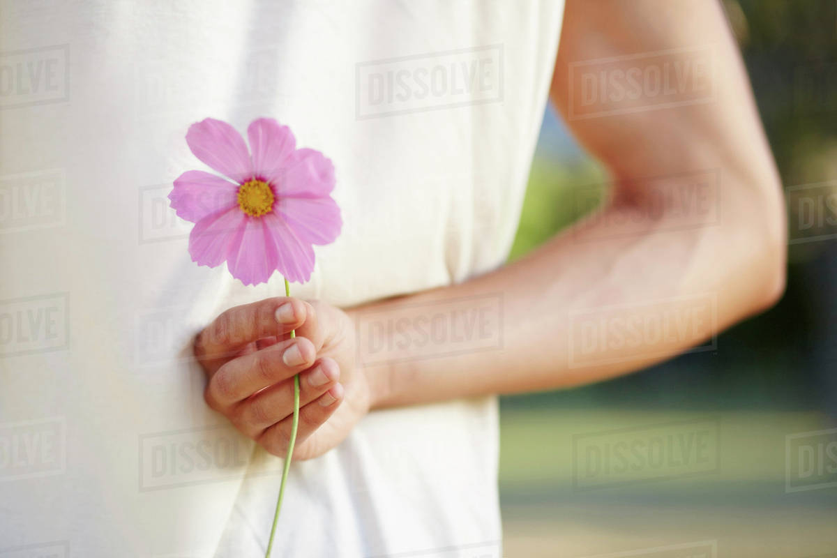 Man holding flower behind back - Stock Photo - Dissolve