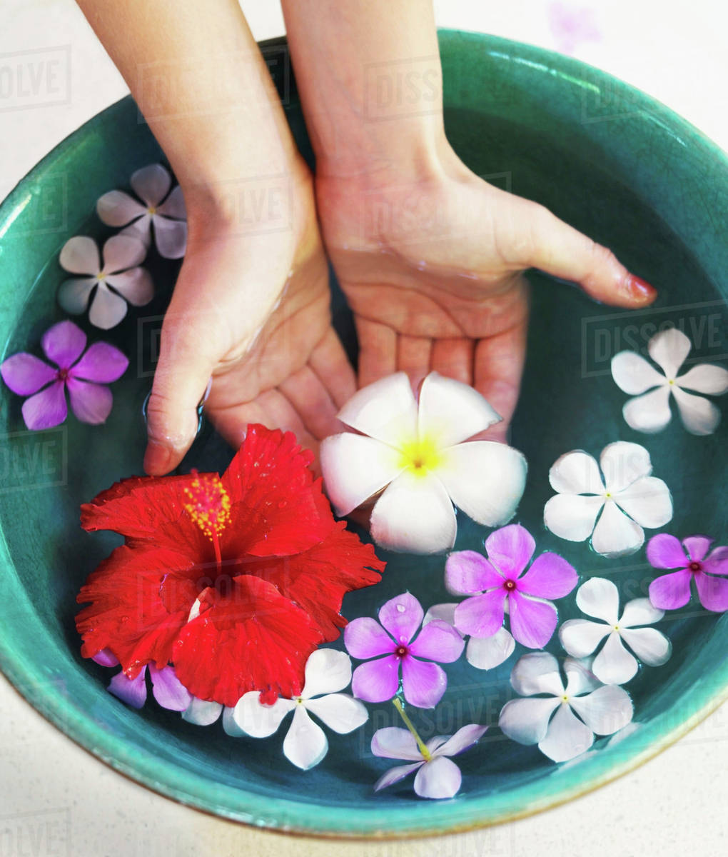 Human hands in bowl with floating flower heads - Stock Photo - Dissolve