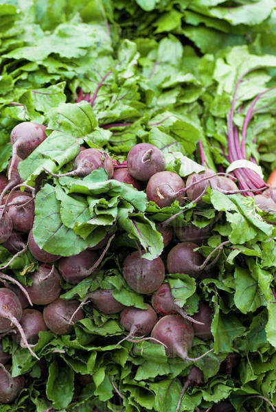 Pile of fresh beets - Royalty-free Stock Photo | Dissolve