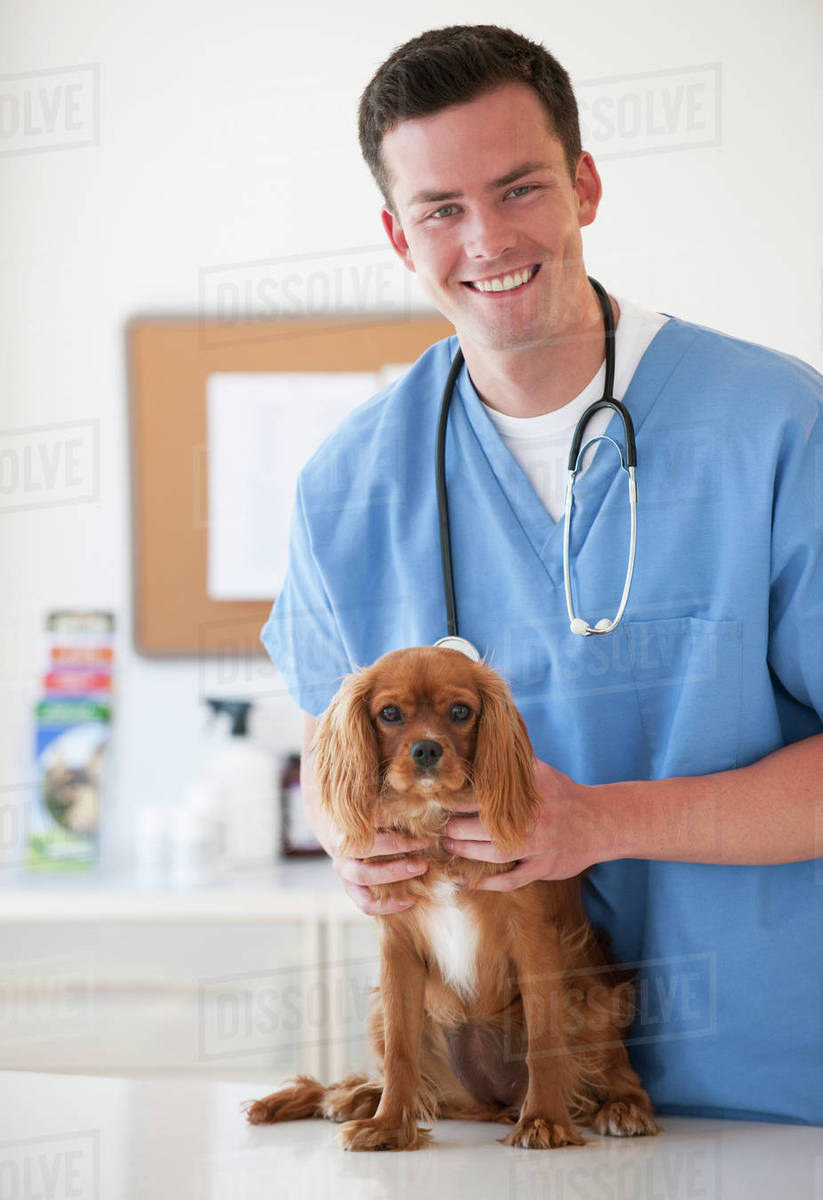 Vet with dog - Royalty-free Stock Photo | Dissolve