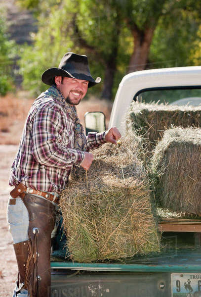 Cowboy lifting bales of hay - Stock Photo - Dissolve