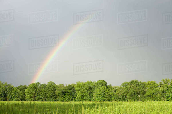 A rainbow in a field - Royalty-free Stock Photo | Dissolve