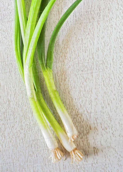 Studio shot of spring onion - Royalty-free Stock Photo | Dissolve