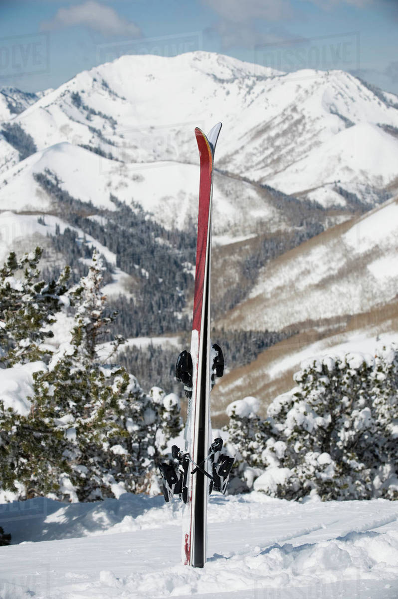 Skis stuck in snow - Royalty-free Stock Photo | Dissolve