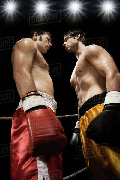 Boxers facing off in boxing ring - Stock Photo - Dissolve