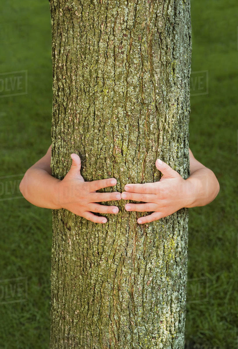 Person hugging tree - Royalty-free Stock Photo | Dissolve