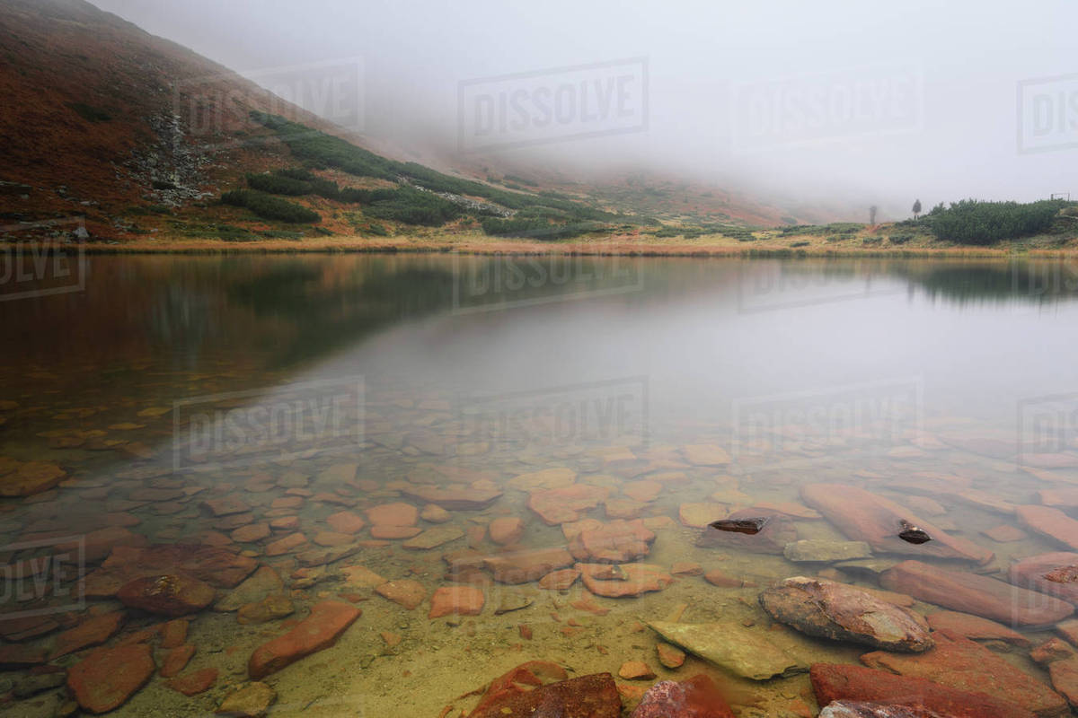 Rocks in clear water - Stock Photo - Dissolve