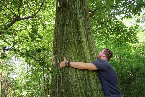 Man hugging tree - Stock Photo - Dissolve