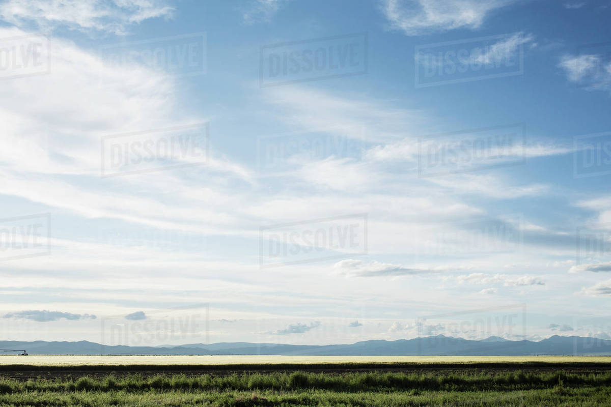 Field at dusk - Royalty-free Stock Photo | Dissolve